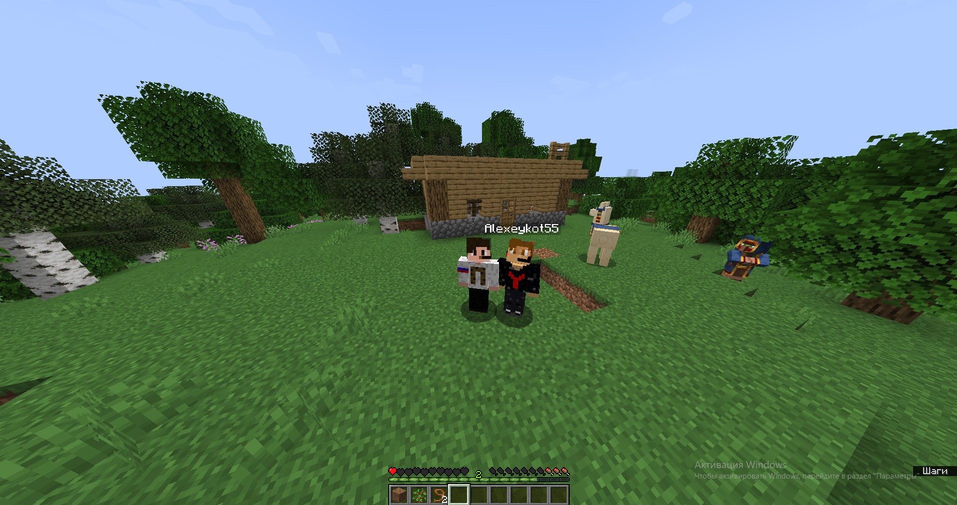 Делаем с другом дом в Майнкрафте