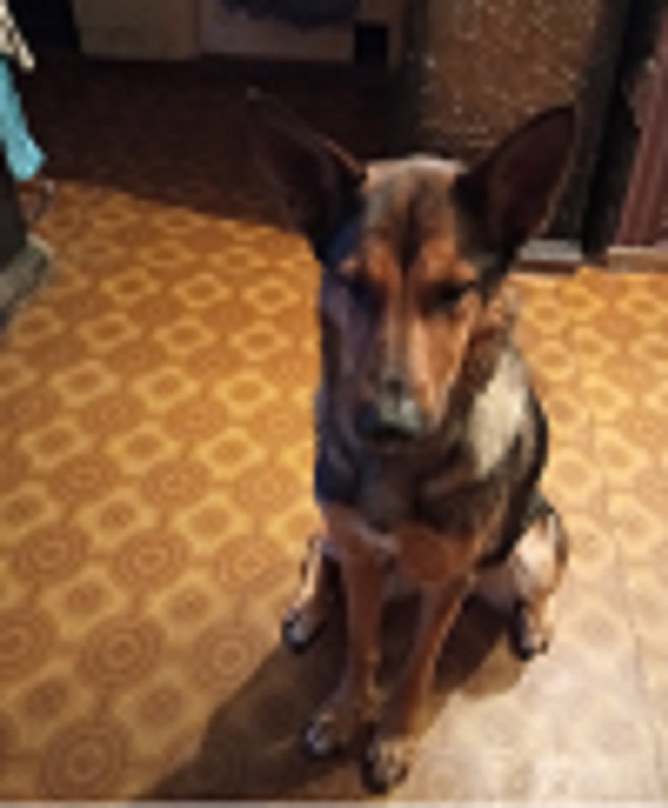 Утренняя процедура