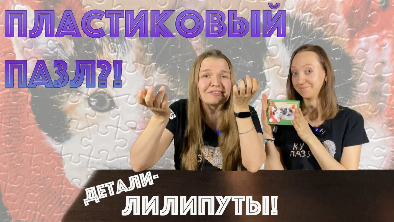 #СПЕЦВЫПУСК 150? PINTOO "Котята в носке" | #КуПазз