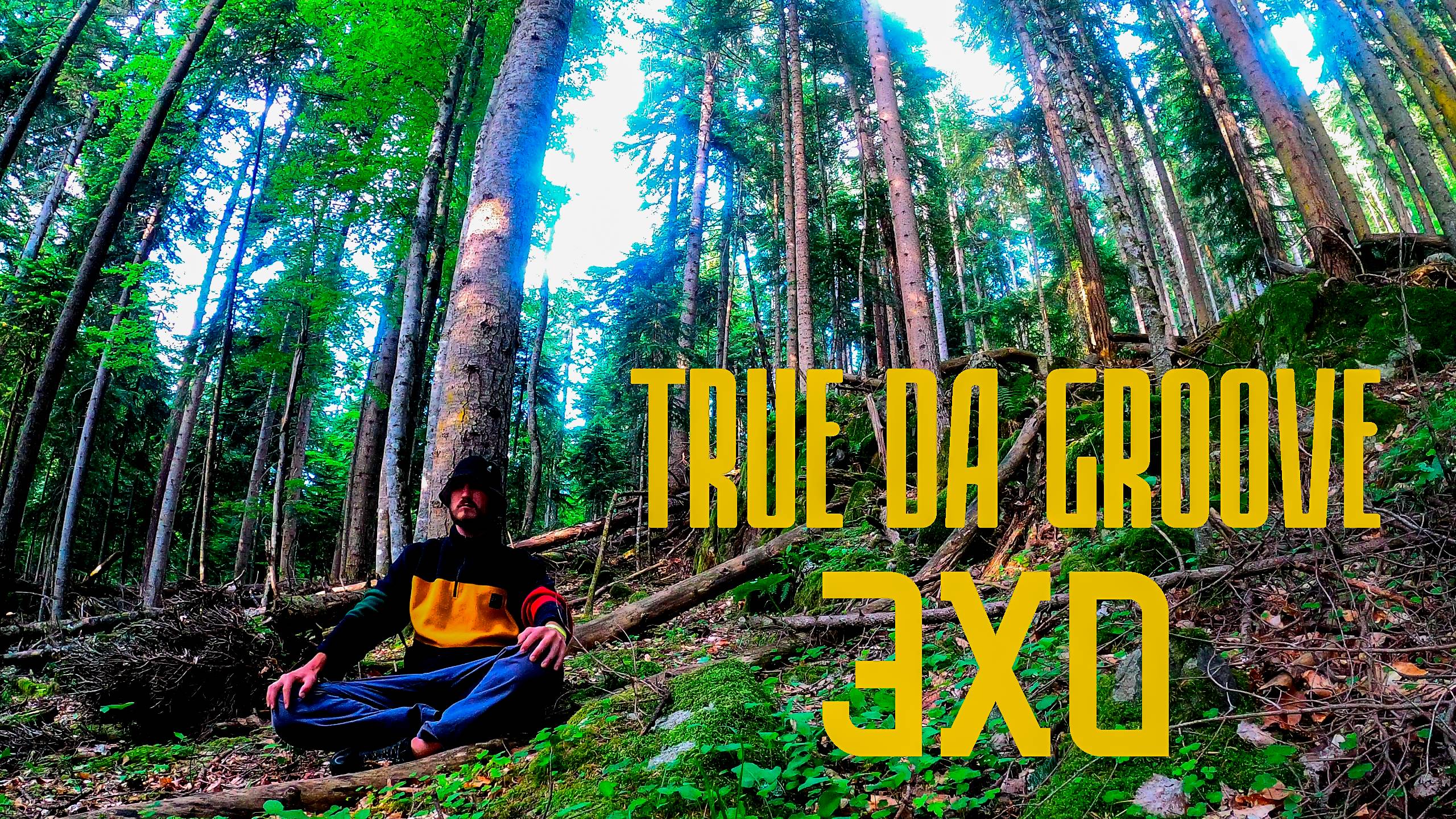 True da Groove - Эхо / Чаща Лесная Меня Породила