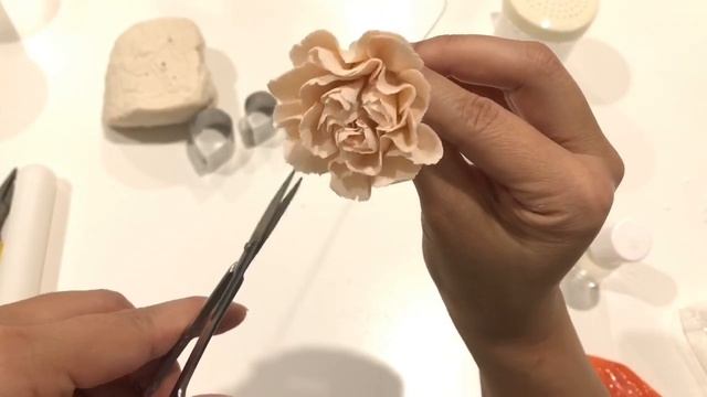 Учебные пособия по сахарной гвоздике (часть-1)