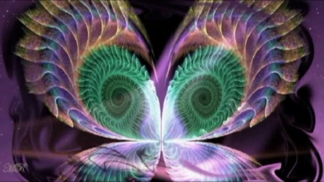 Чёрно-белые сны