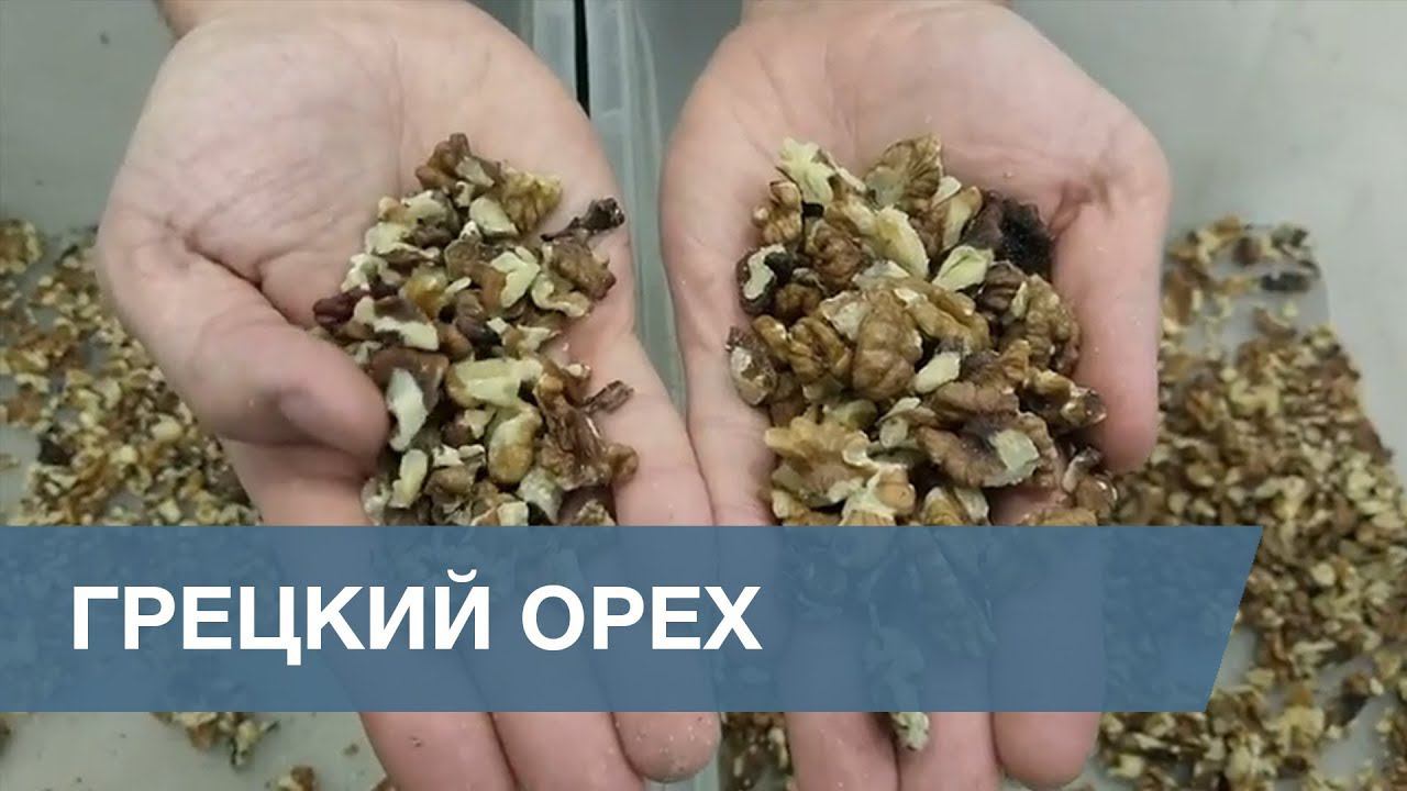 Грецкий орех - Сортировка по размеру