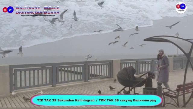 Kaliningrad 39 Sekunden 2023-15