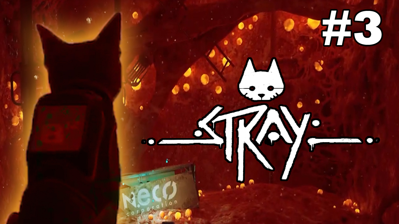 STRAY #3 / НАДО БОЛЬШЕ ЗУРКОВ (НЕТ) !