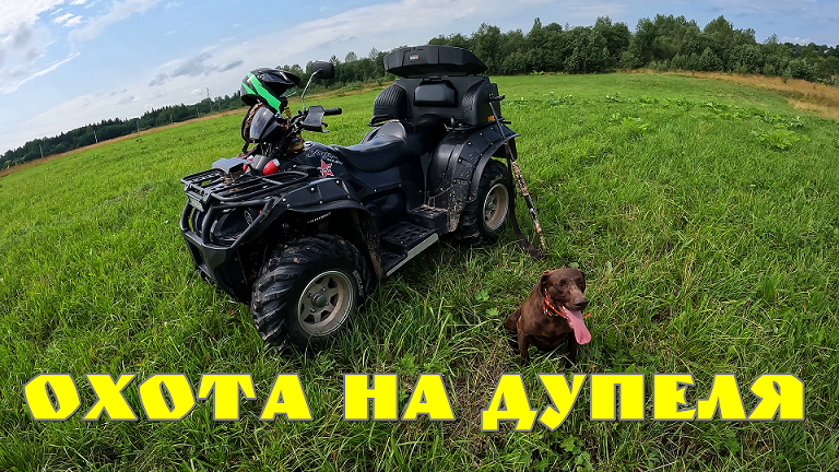 ОХОТА НА ДУПЕЛЯ С ЛЕГАВОЙ | КУРЦХААР НА ОХОТЕ | СЕЗОН ОХОТЫ 2022.mpg