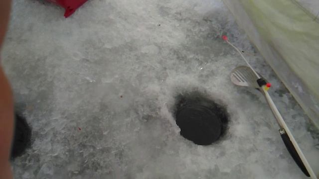 Зимняя рыбалка 19.12.2019. р Иртыш, затон (Реб)