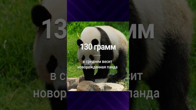 Интересные факты #рекомендации #факты