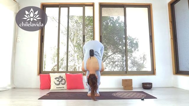 РАСТЯЖКА НА ВСЕ ТЕЛО - День 7 _ Растяжка Дома _ Растяжка СПИНЫ.mp4