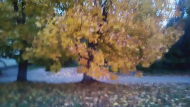 осень 2017 го