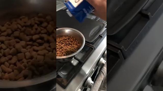 Суббтитры 3