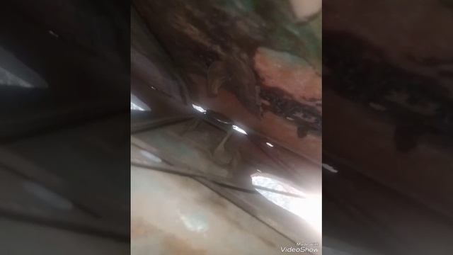 Устройство натяжения правого переднего стеклоподъмника Ваз 2105