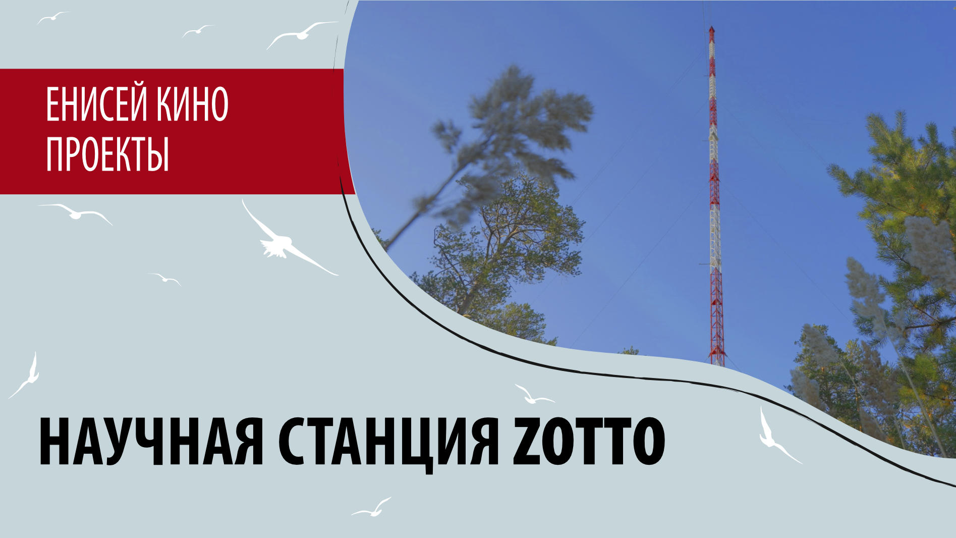 Научная станция ZOTTO