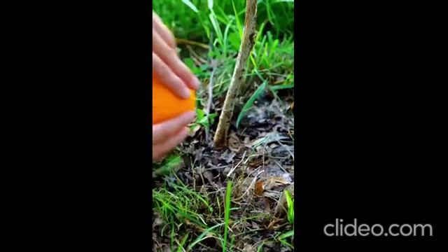 16 марта 2023 года