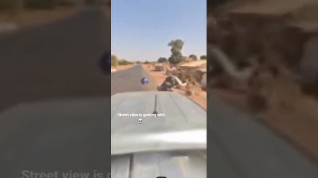 Что только не встретишь на Google Maps.