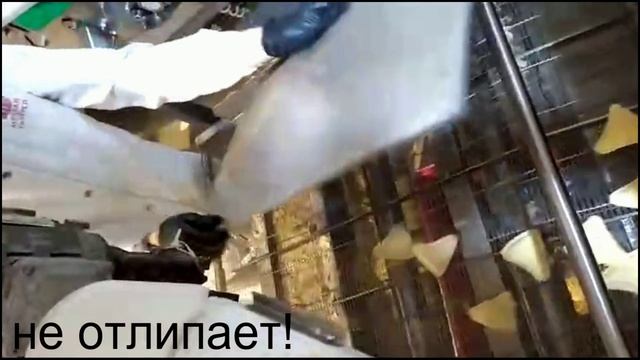 Эксперимент с тестом после расстойки (видео №1)