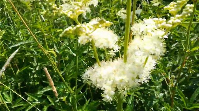 СЕГОДНЯ НЕ ДЕНЬ, А ПРАЗДНИК КАКОЙ - ТО !