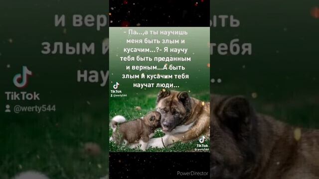Задумайся на минуту
