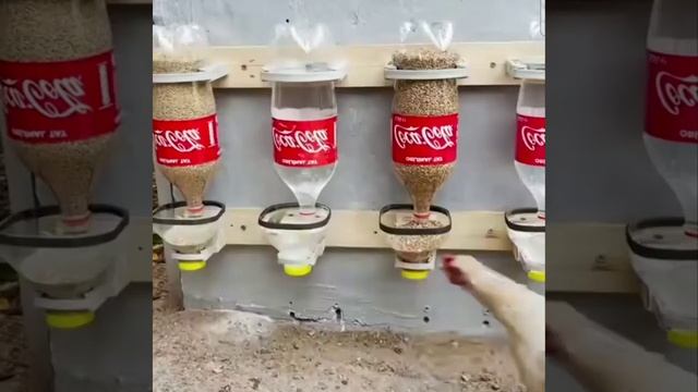 кормушки для кур.