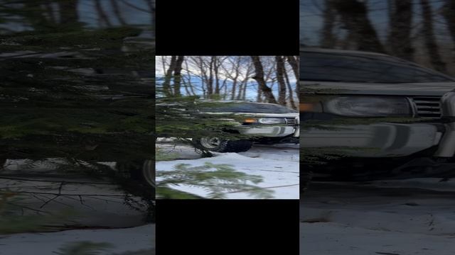 Паджеро2 лесной житель #shorts