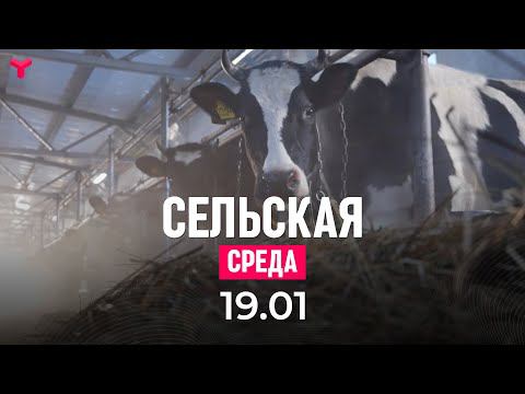 Сельская среда 19.01.2022