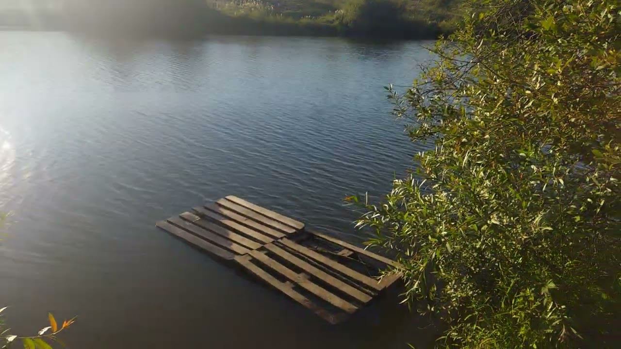 Лето. Велосипед. Радио. Пруд.