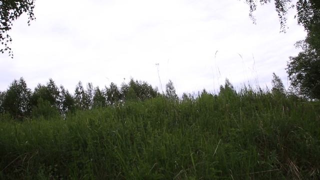 Рыбалка на Черемухе