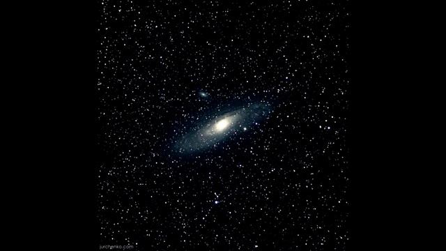 Незнакомке.