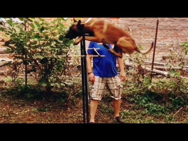 ПРЫЖОК МАЛИНУА