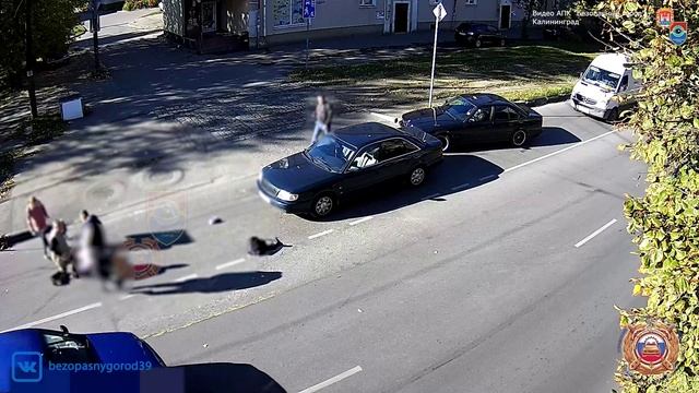 Полицейские напоминают, что безопасность юных участников дорожного движения лежит на плечах взрослых