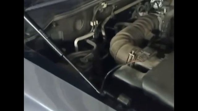 Амортизаторы капота для Pajero Sport