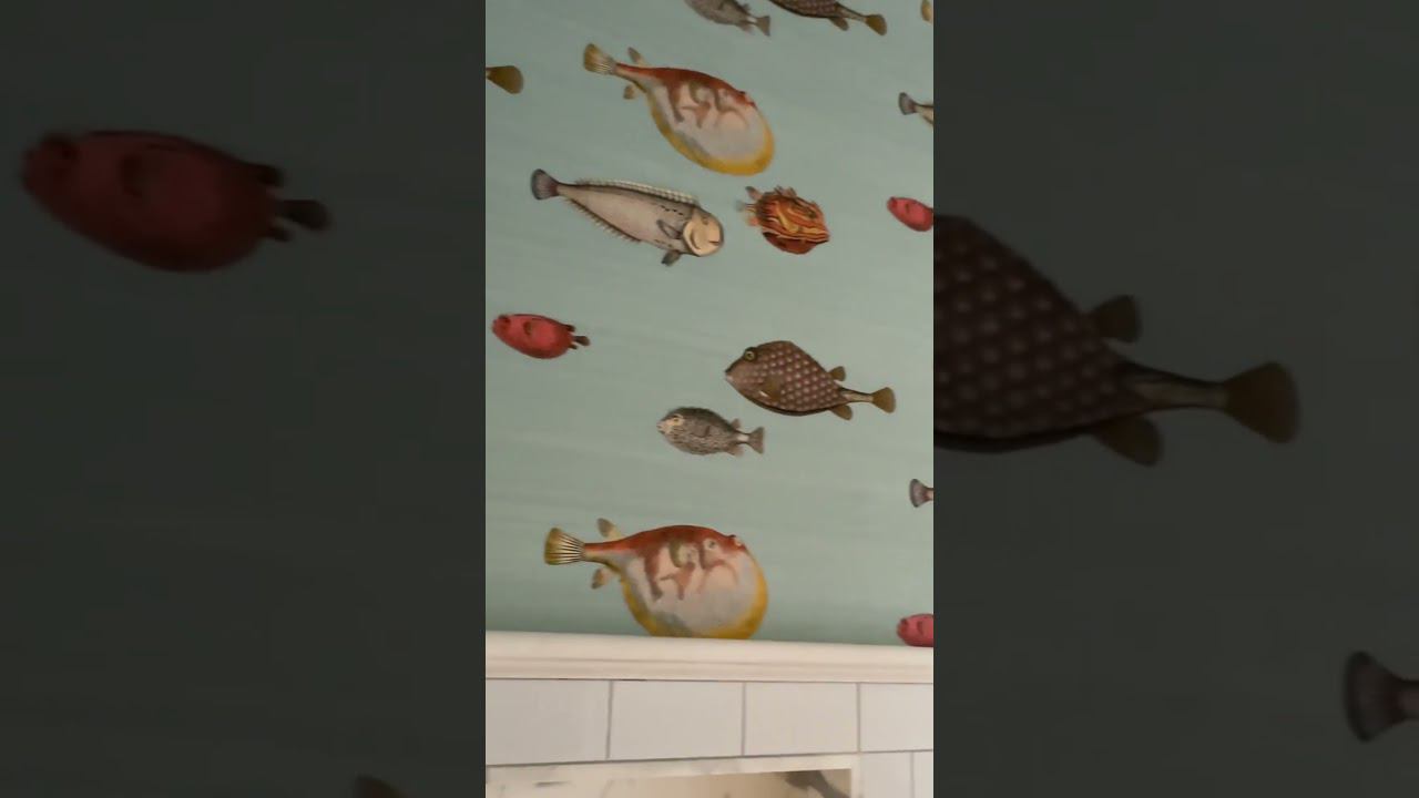 КЛЕБЕН | ОБОИ с рыбами! Поклейка обоев в детскую #поклейкаобоев #обои #юмор #детскаякомната