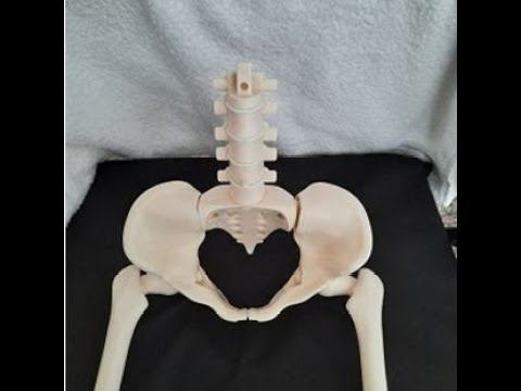 Накладное сиденье -  упражнения