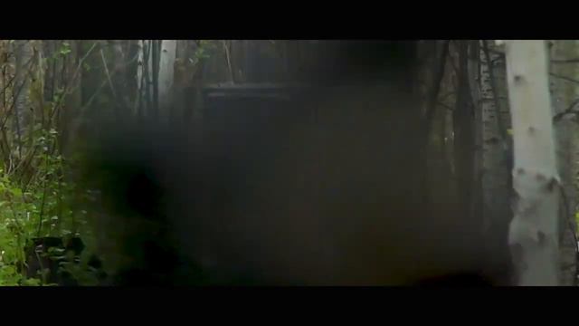 Лук блочный Grim. Настройка и пристрелка