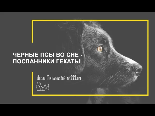 Черные псы во сне -  посланники Гекаты