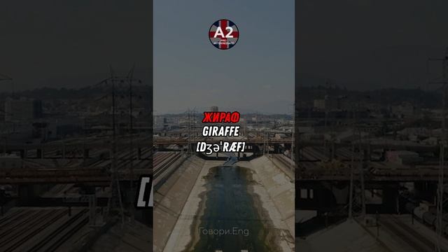 Учим 5 английских слов в день. Уровень - А2.