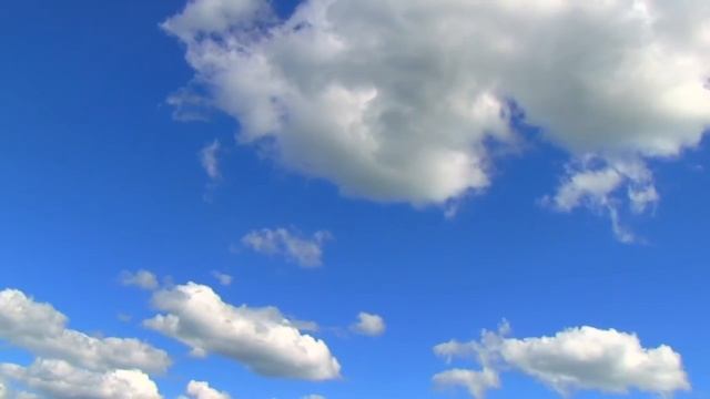 Научи меня молиться