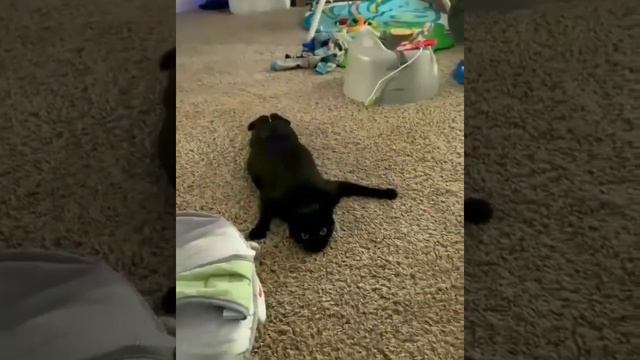 Я тень, я скрытность, я тыгдыкдык, что приходит ночью.