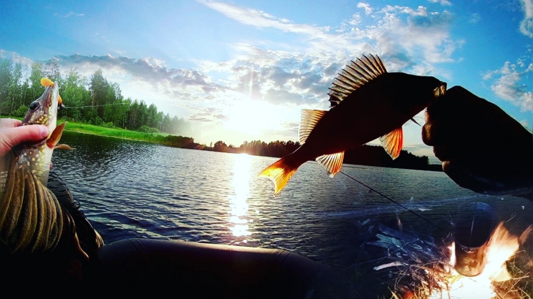 Рыбалка с ночевкой. Ловля на спиннинг с лодки о. Березорадинское