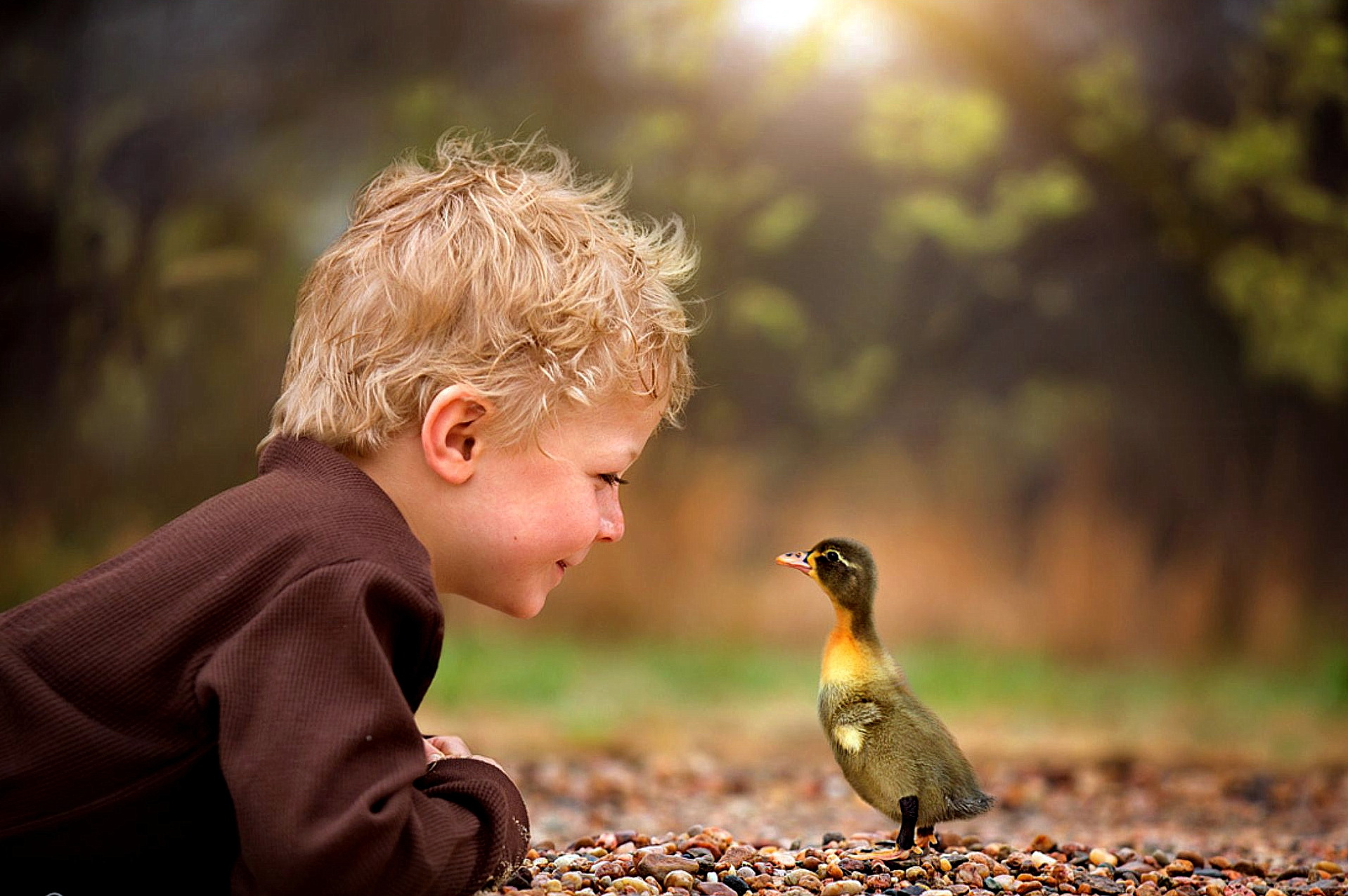 Стихия добра