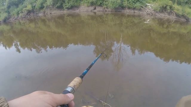 Окунь с каждого заброса. Рыбалка просто сказка.