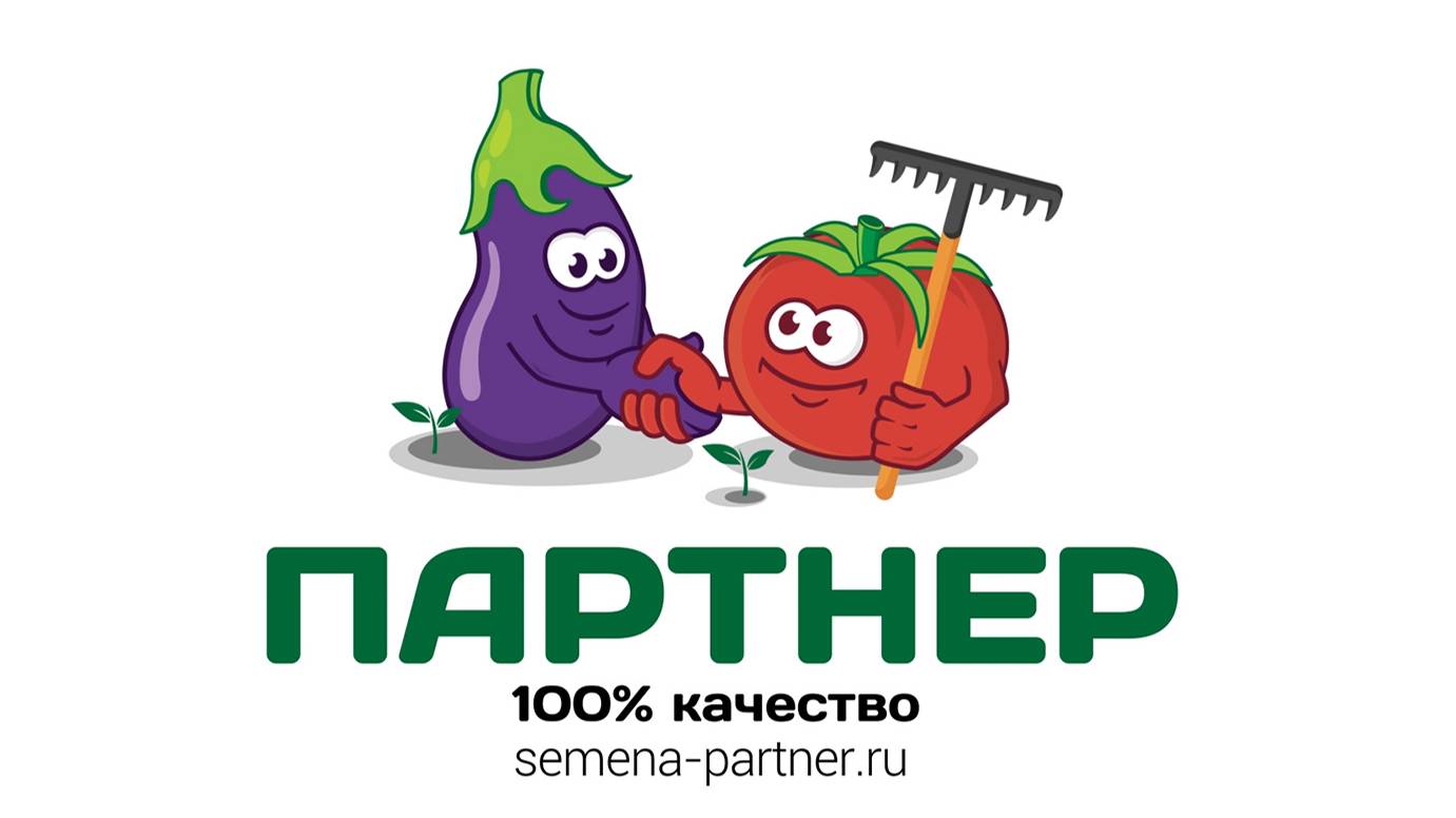 Шоурил анимация логотипа