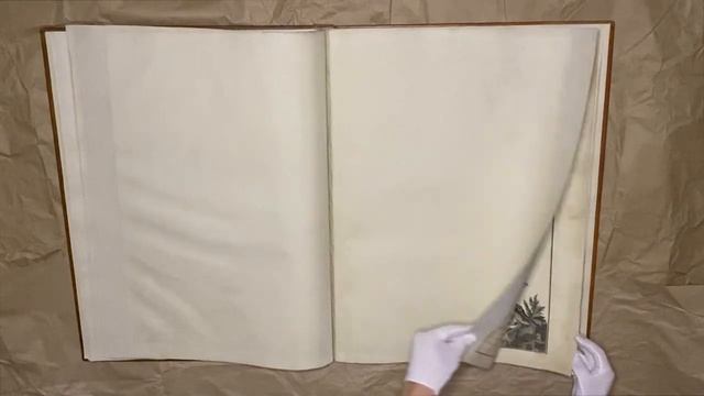 Проект ВРедкость Выпуск№3