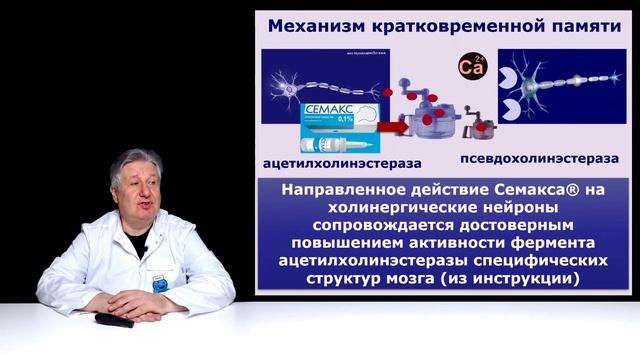 Судьба ноотропов