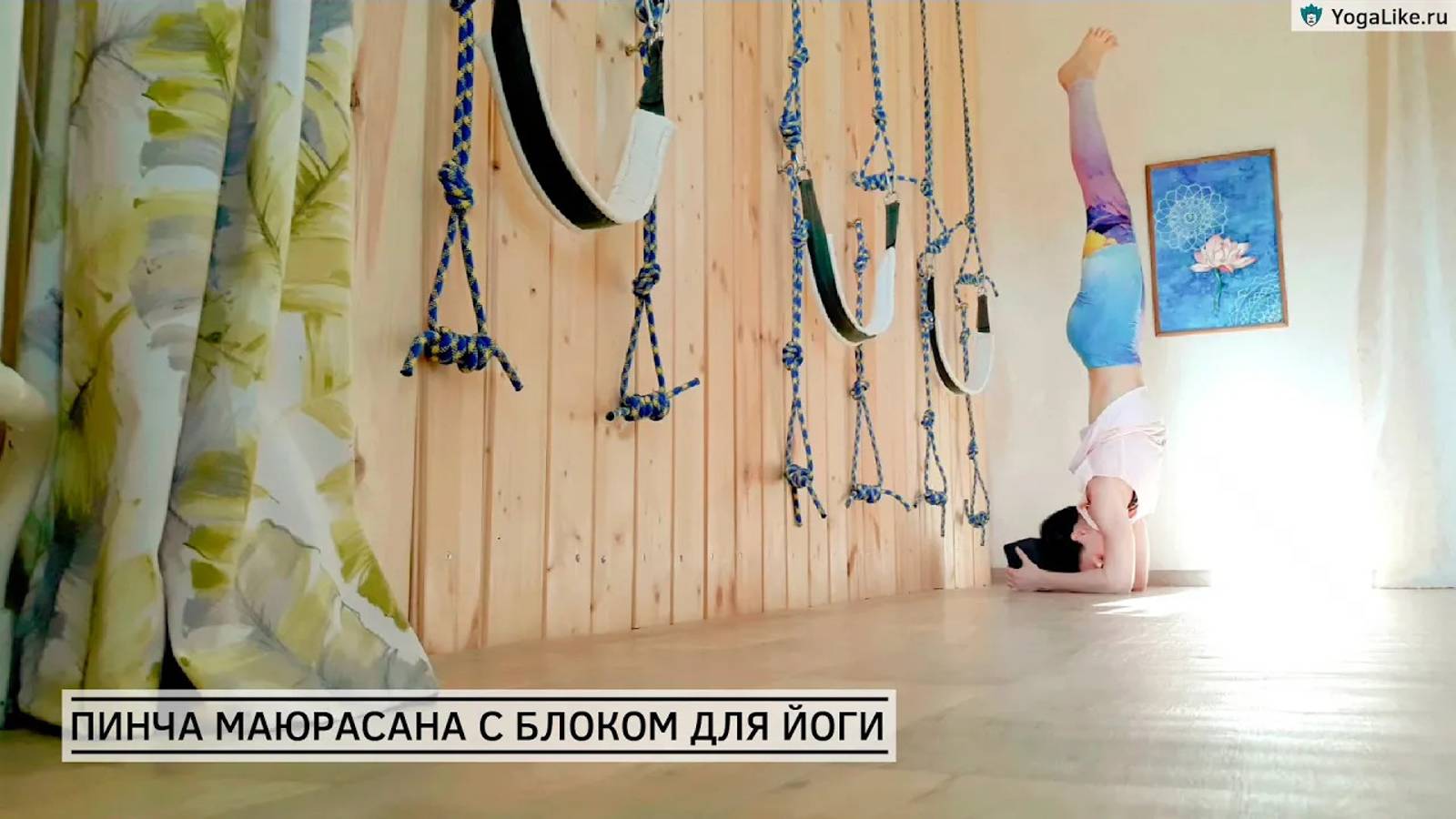 Пинча Маюрасана с блоком для йоги. Ольга Гончарова