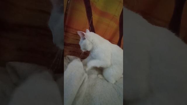 Марта Мартовна