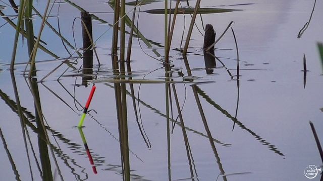 Ловля КАРАСЯ на поплавок в траве. р.Дон Вода упала, пришлось делать новое место. (04.06.2021)