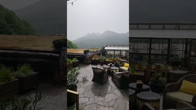 Ресторан Яблоки печем. Виды