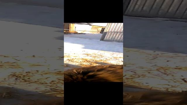 Племянник дядьку достает