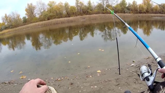 Рыбалка как в детстве. Ловля уклейки осенью.